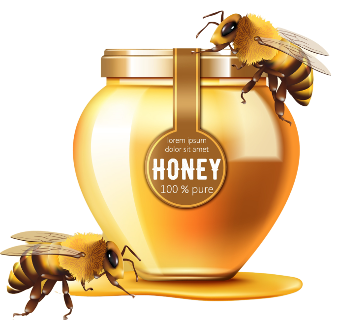 Honey Bee